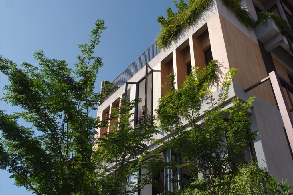 The Outdoor House - QUOD Architects